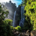 North Bali Highlight Tour From Celukan Bawang Cruise Port - The Sum Up