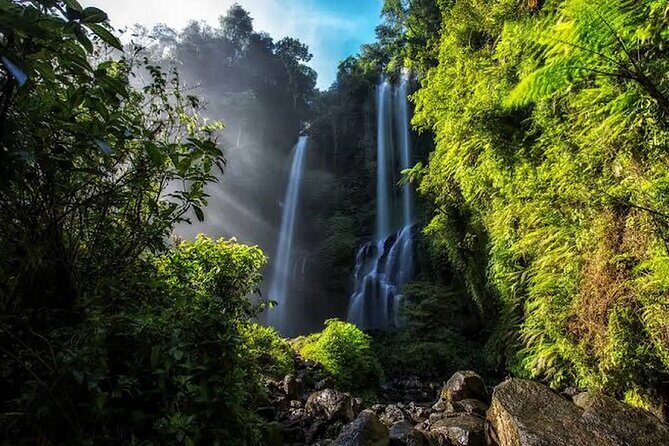 North Bali Highlight Tour From Celukan Bawang Cruise Port - The Sum Up