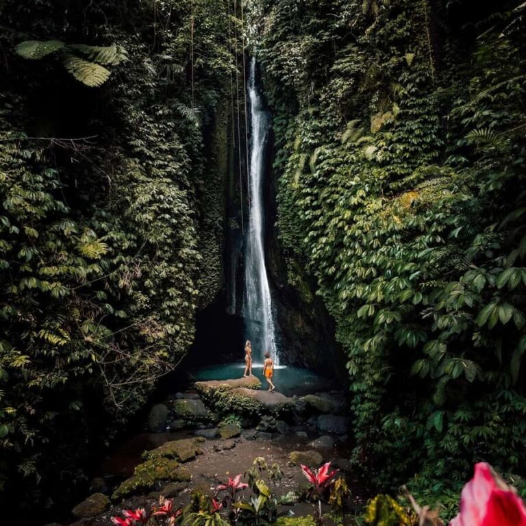 North Bali: Monkey Forest -Waterfall- Rice Terrace-Ulun Danu - Practical Details and Experience Quality