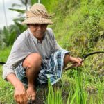 North Bali Private Trip UNESCO Site Lakes Temple and Waterfall - The Experience: What Travelers Say