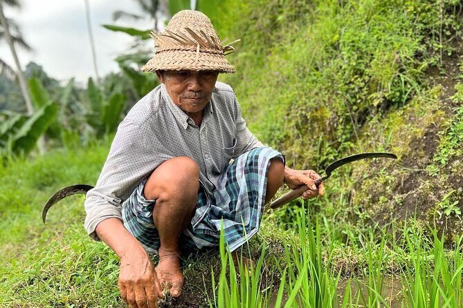 North Bali Private Trip UNESCO Site Lakes Temple and Waterfall - The Experience: What Travelers Say