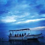 North Bali : Sunrise Dolphin Trip at Lovina Beach - What to Expect from the North Bali Sunrise Dolphin Tour