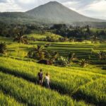 North Bali: Tanah Lot, Jatiluwih, Leke Leke, Taman Ayun - A Detailed Breakdown of the Itinerary