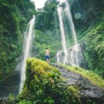 North Bali Tour with Twin Waterfalls and Temple - What’s Included & What’s Not