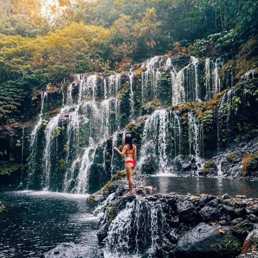 North Bali Trip with 2 Hidden Waterfalls Private Tour - What Makes This Tour Stand Out?