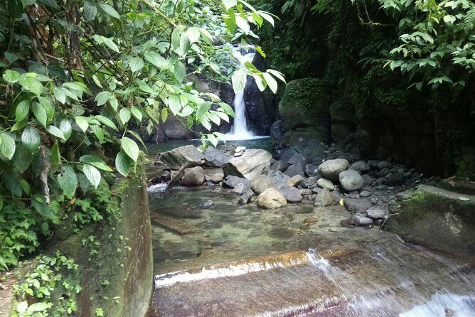 North Caribbean Tour in Martinique - Why This Tour Offers Good Value