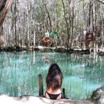 North Coast Adventure Isla Columpio Puerto Progreso and Chuburná - Authentic Experiences and Traveler Insights