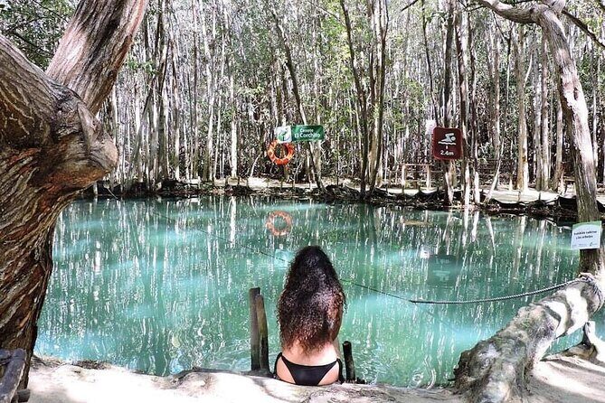 North Coast Adventure Isla Columpio Puerto Progreso and Chuburná - Authentic Experiences and Traveler Insights