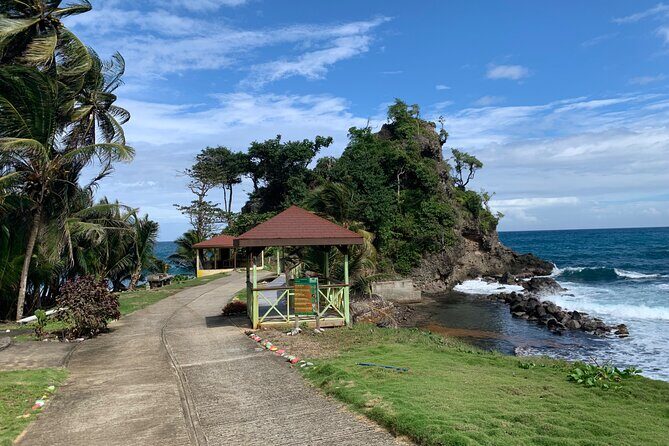 North Coast Dominica Sightseeing Day Tour - Pricing and Value