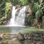 North Island Tour And Martinique Best Secret - Practical Details & Considerations