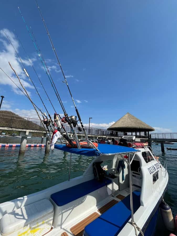 North Komodo: Private Full-Day Fishing Trip by Speedboat - What to Expect: Day-by-Day Breakdown