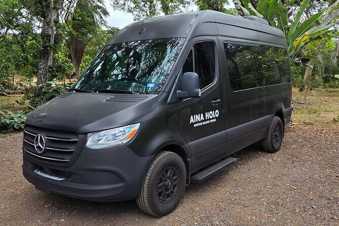 North Shore Turtle Bay Private Airport Transfer Up to 10 Guests - Is It Worth the Cost?