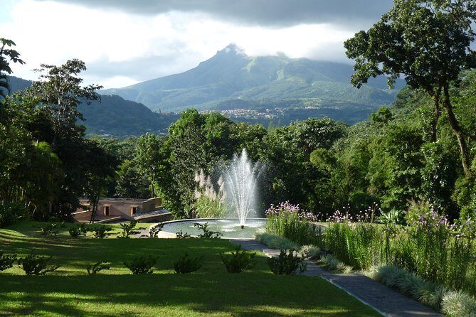 North Tour: rainforest, rum distillery, black sand beach etc - What Makes This Tour Special?