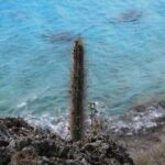 North Tour with Local Guide - Historical & Cultural Highlights