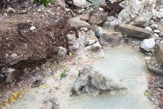 Northern Tour Adventure through Nature - Who Will Love This Tour?