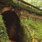 Northern Wonders: Temples & Doi Suthep Tour with Driver - The Itinerary in Detail