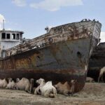 Nukus Private Transfer with Aral Sea View - The Stop at the Aral Sea: What to Expect