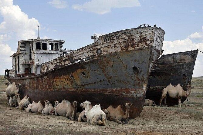 Nukus Private Transfer with Aral Sea View - The Stop at the Aral Sea: What to Expect