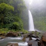 Nungnung Waterfall & Jatiluwih Rice Fields Tour - Practical Details and What to Expect