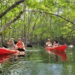 Nusa Dua: Suwung Mangrove Glass Bottom Boat Tour - What You Can Expect from the Tour