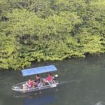 Nusa Dua: Suwung Mangrove Glass Bottom Boat Tour - Who Is This Tour Best For?