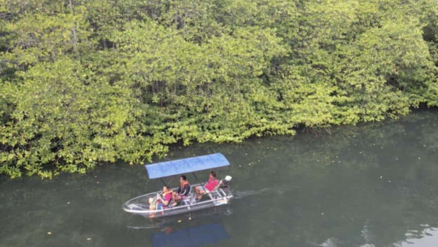 Nusa Dua: Suwung Mangrove Glass Bottom Boat Tour - Who Is This Tour Best For?