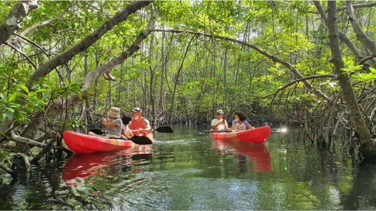 Nusa Dua: Suwung Mangrove Glass Bottom Boat Tour - What You Can Expect from the Tour
