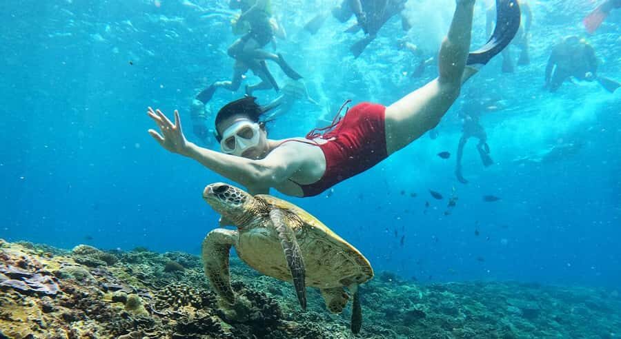 Nusa Lembongan from Bali: 3 Spots Snorkeling & Islands Tour - What to Expect from the Tour