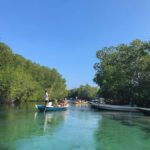 Nusa Lembongan Mangrove & Island Tour - The Value of a Guided Experience