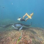 Nusa Penida: 3-Spot Snorkeling Experience & West Island Tour - Authentic Feedback from Travelers