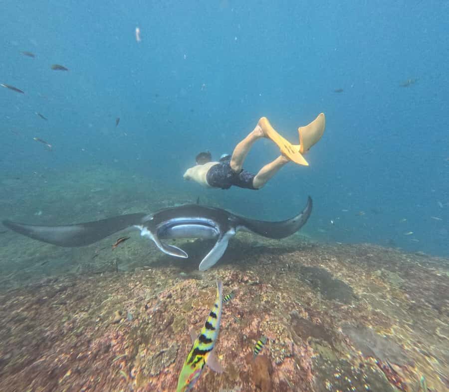 Nusa Penida: 3-Spot Snorkeling Experience & West Island Tour - Authentic Feedback from Travelers