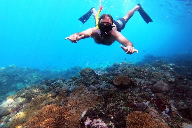 Nusa Penida 4 Spot Snorkeling with Manta and Island Tour - Authentic Insights from Traveler Feedback