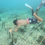 Nusa Penida: Ecotourism, Coral Restoration & Snorkeling - Who Will Love This Tour?