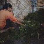 Nusa Penida: Ecotourism, Seaweed Farming & East Tour - Itinerary Breakdown