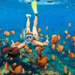 Nusa Penida: Full-Day Guided Snorkeling & Island Tour - The Real Deal: Pros and Cons Based on Reviews