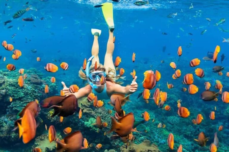 Nusa Penida: Full-Day Guided Snorkeling & Island Tour - The Real Deal: Pros and Cons Based on Reviews