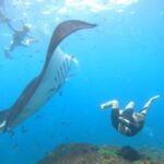 Nusa Penida: Full Day Private Snorkeling With Manta Ray - Frequently Asked Questions
