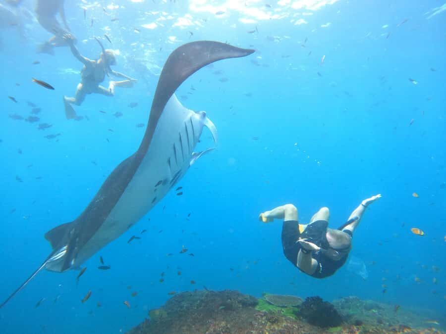 Nusa Penida: Full Day Private Snorkeling With Manta Ray - Frequently Asked Questions