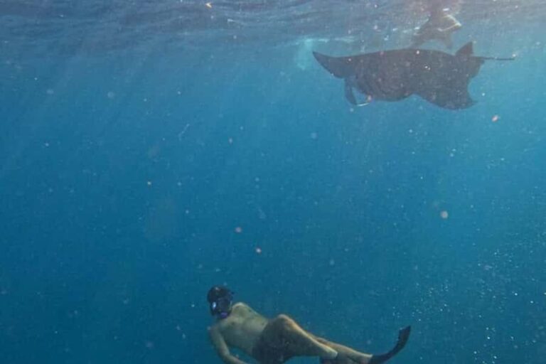 Nusa Penida: Manta Point Snorkeling with Lunch and Pick Up - Snorkeling at Manta Point: The Main Attraction