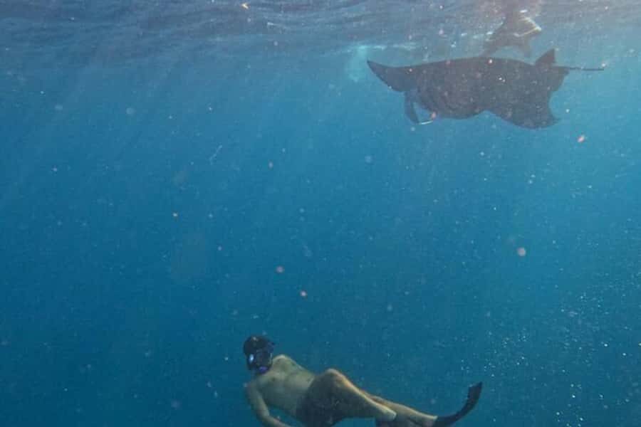 Nusa Penida: Manta Point Snorkeling with Lunch and Pick Up - Snorkeling at Manta Point: The Main Attraction