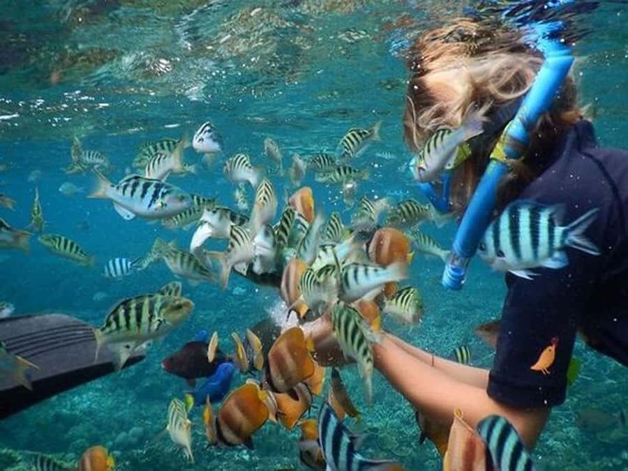 Nusa Penida Package 2D1N : Snorkeling and Tour Island - Who Will Love This Tour?