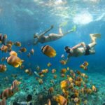 Nusa Penida: Private Snorkel, Chill Stop & Kelingking Sunset - What to Expect Throughout the Day