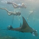 Nusa Penida: Snorkeling 3 Spots with GoPro & West Land Tour - Key Points