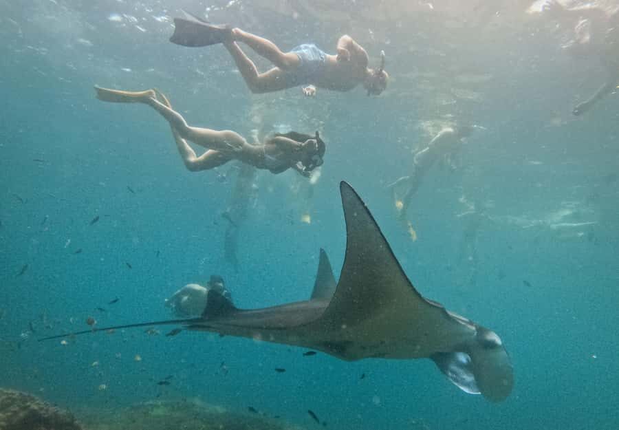 Nusa Penida: Snorkeling 3 Spots with GoPro & West Land Tour - Key Points