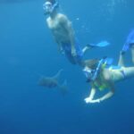 Nusa Penida: Snorkeling & Island Tour All Inclusive Transfer - Who Will Love This Tour?