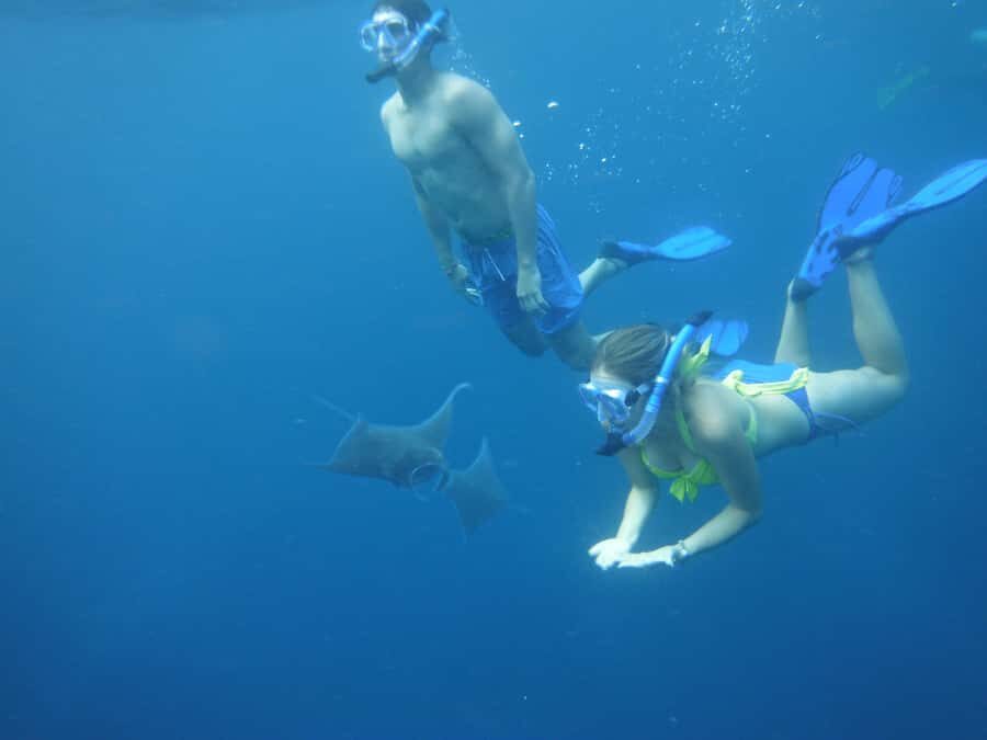 Nusa Penida: Snorkeling & Island Tour All Inclusive Transfer - Who Will Love This Tour?