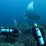 Nusa Penida Snorkeling: Manta Point & Island Day Trip - Why Travelers Love This Tour