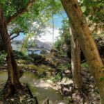 Nusa Penida: West Tour & Hidden Tembeling Pool - What Makes This Tour Stand Out