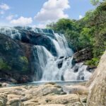 Nuwara Eliya: Horton Plains Guided Hike with Lunch - Key Points