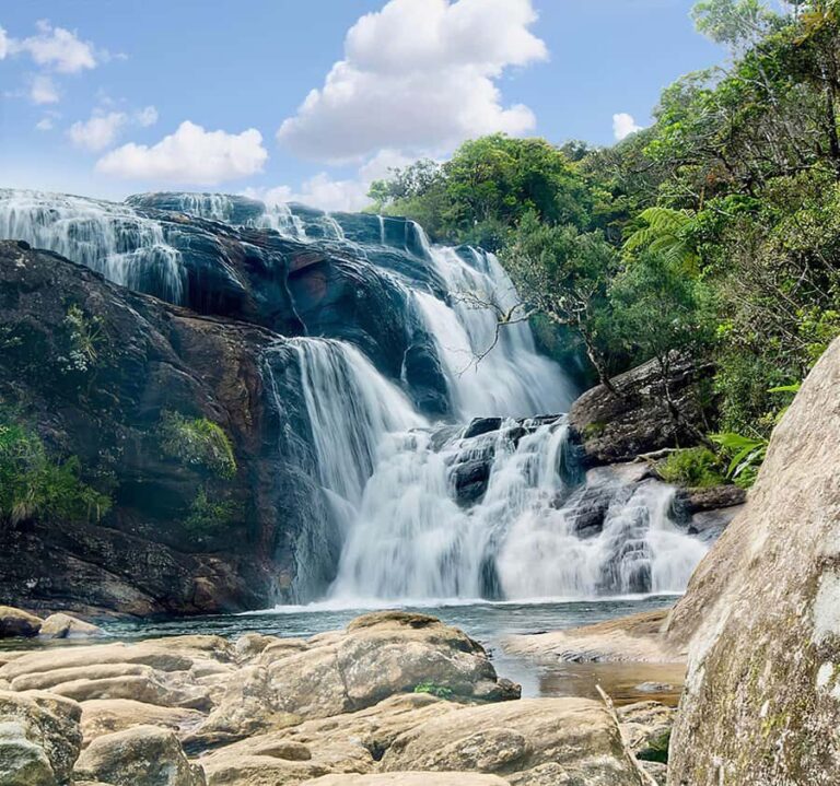 Nuwara Eliya: Horton Plains Guided Hike with Lunch - Key Points